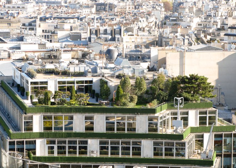 La jardinería en azoteas